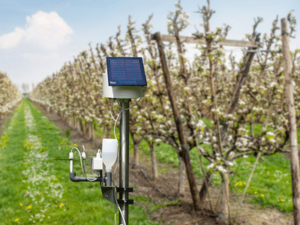 Dualex - METOS by Pessl Instruments