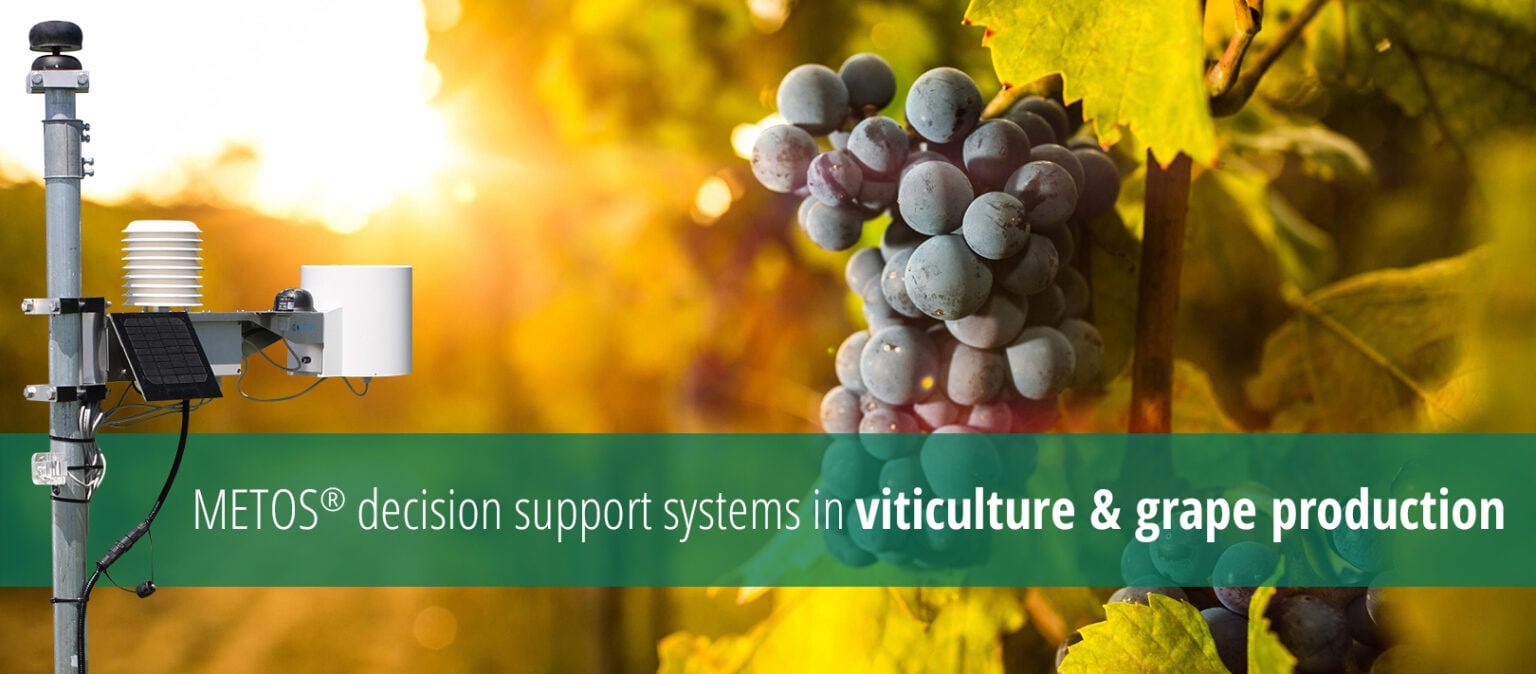 METOS® decision support systems in viticulture and grape production ...