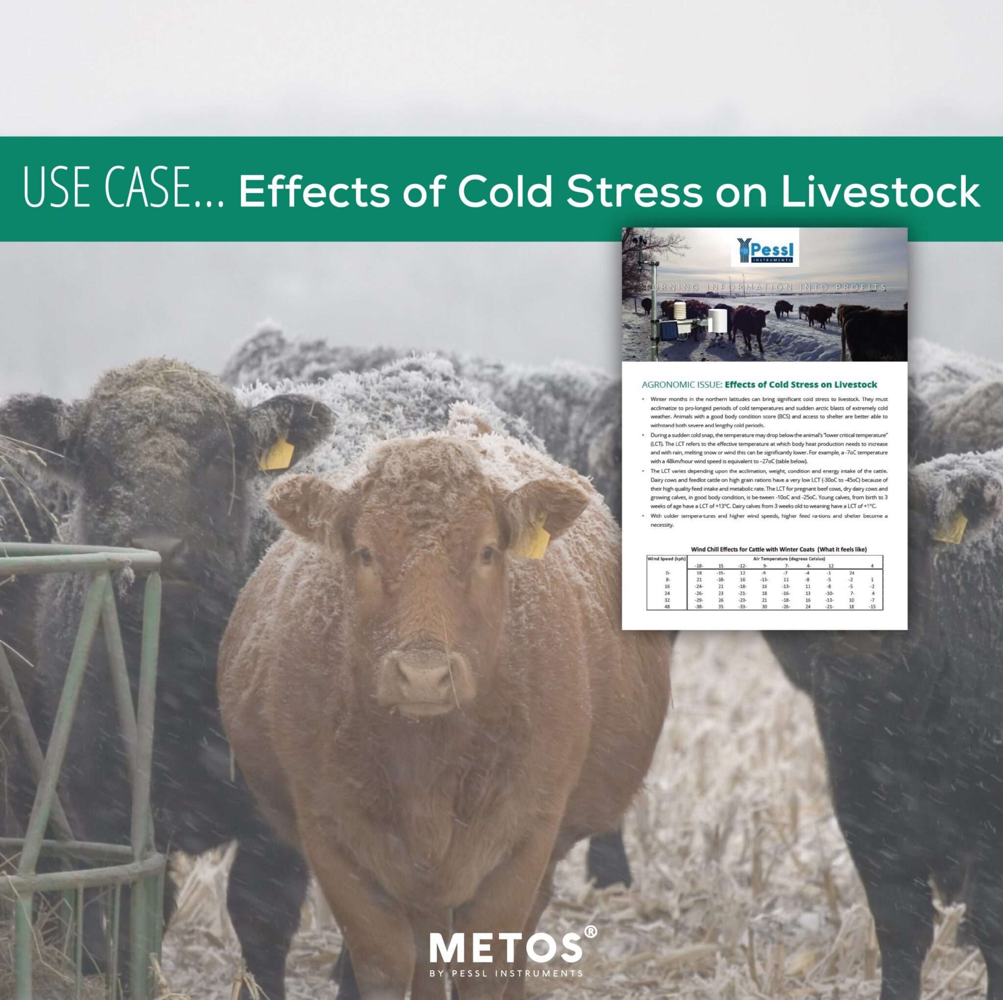 Effects of Cold Stress on Livestock - METOS by Pessl Instruments