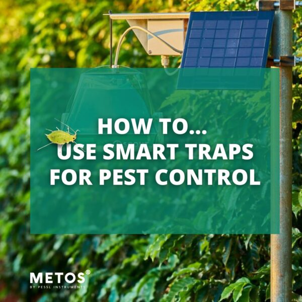 How to use smart traps for pest control - METOS® by Pessl Instruments