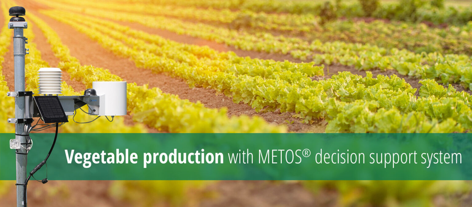 Gemüseproduktion mit METOS® Decision Support System - METOS von Pessl ...
