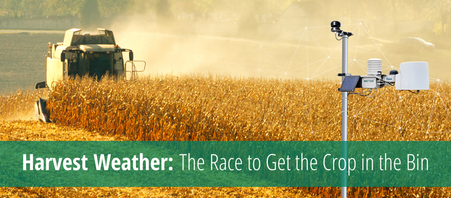 Farm Weather Talk #008 - Harvest Weather - The Race to Get the Crop in ...