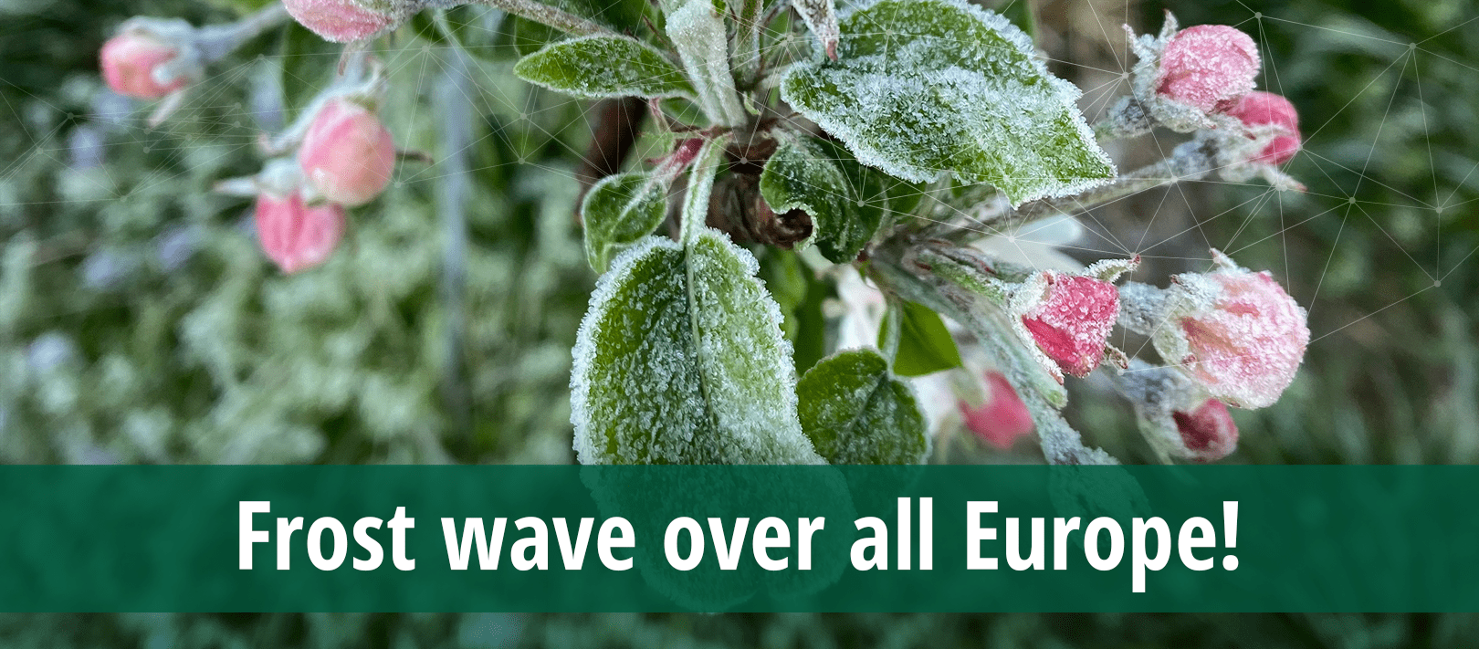 Frost wave over all Europe - METOS by Pessl Instruments