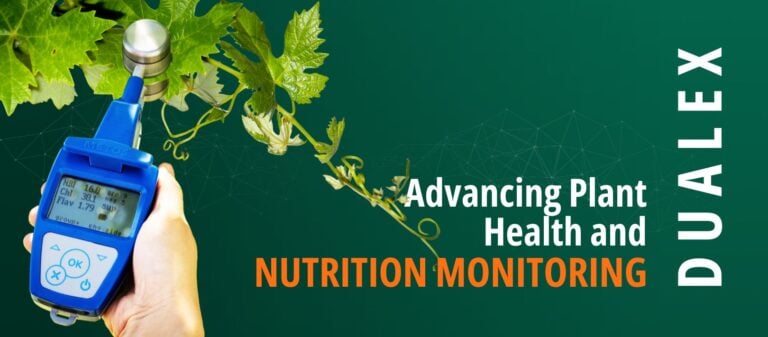 DUALEX - Avances en el control fitosanitario y nutricional - METOS by ...