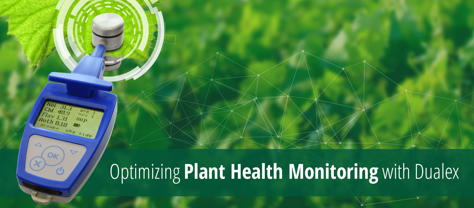 Anwendungsfall: Optimierung der Pflanzengesundheitsüberwachung mit ...