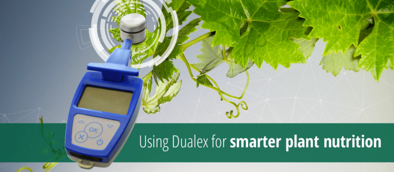 Using Dualex for smarter plant nutrition - METOS by Pessl Instruments