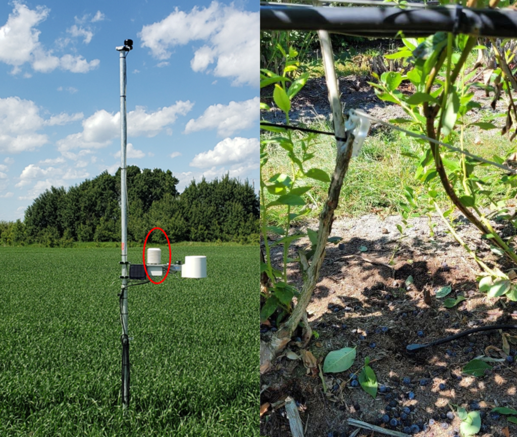 Weather - It’s The Variability That’s Hard To Farm With - PART III ...