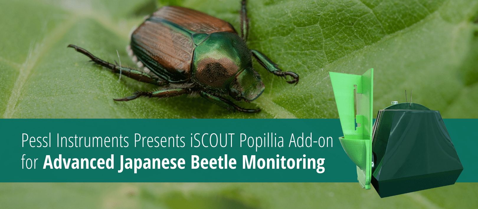Pessl Instruments Presents iSCOUT Popillia Add-on for Advanced Japanese ...