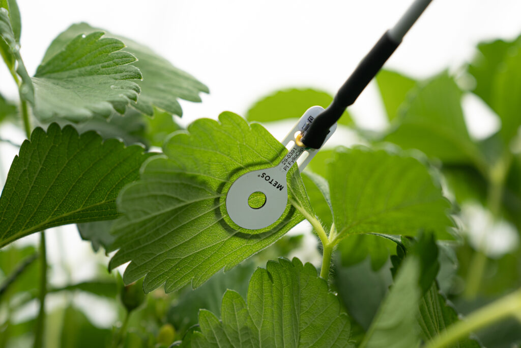 METOS STREMO - METOS by Pessl Instruments