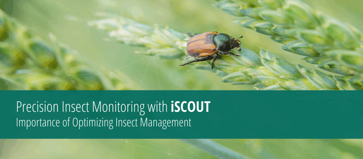 Precision Insect Monitoring with iSCOUT - METOS by Pessl Instruments