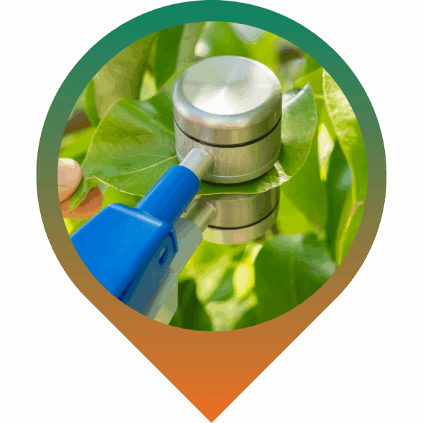 Dualex - METOS by Pessl Instruments