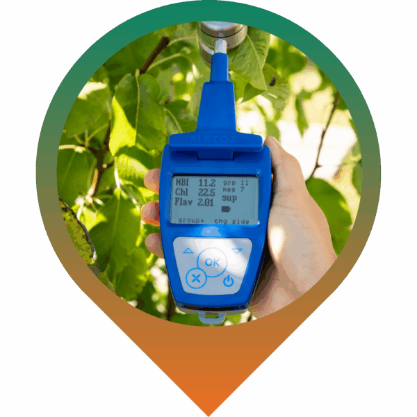 Dualex - METOS by Pessl Instruments
